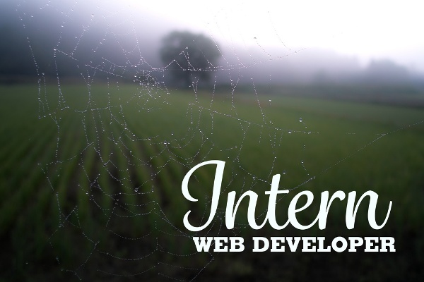 Web Development Internships for Students - 2022 2023 Big Internships
