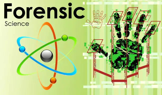 Forensic Internships 2019 - 2022 2023 Big Internships