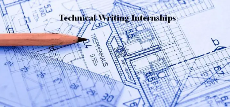 Blog - 2019 2020 Big Internships