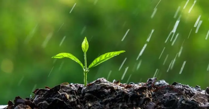 Top Ten Environmental Internships - 2022 2023 Big Internships