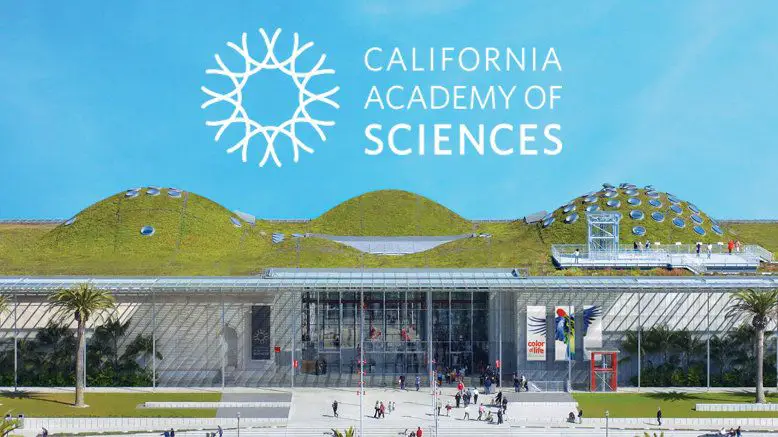 California Academy of Sciences Biological Illustration Internship for ...