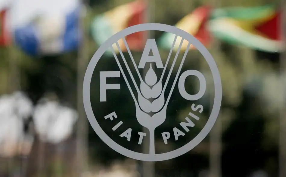 Food and Agriculture Organization (FAO) REU Internship - 2022 2023 Big ...
